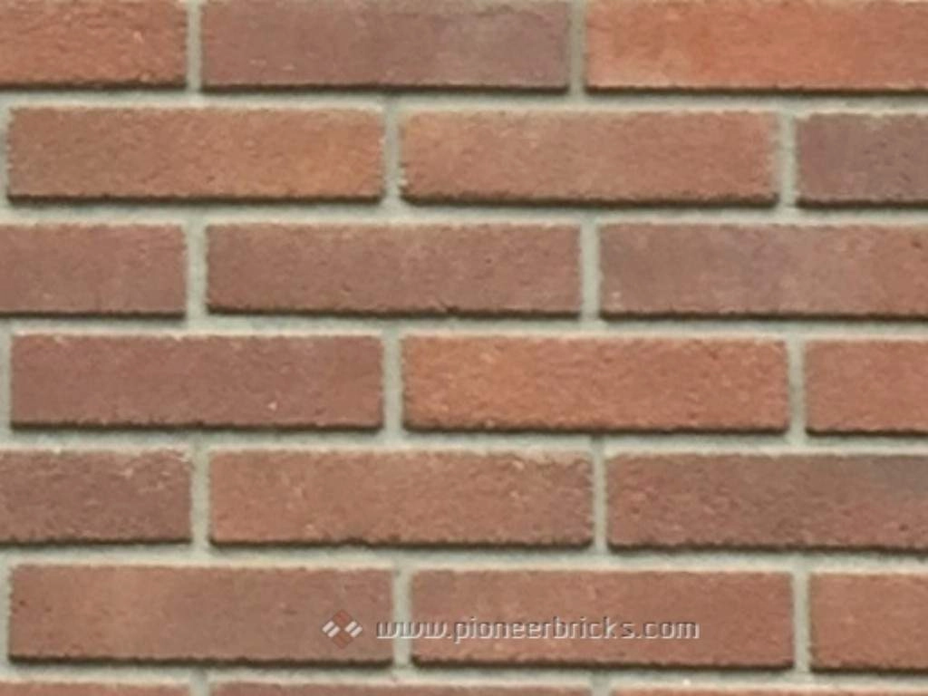 Pioneer Bricks Terracotta Textured Brick Wall Cladding Tiles