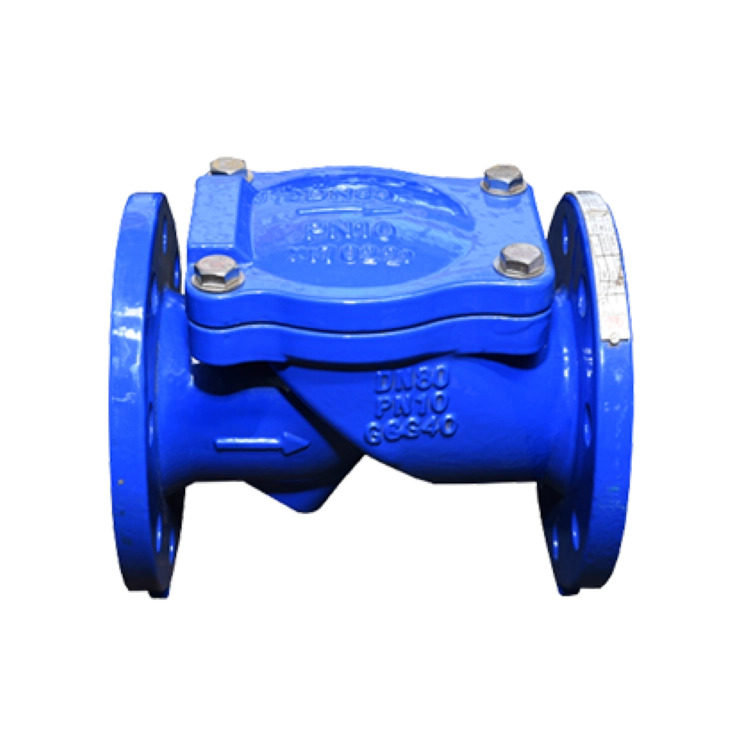 Cri Pumps Swing Check Valve