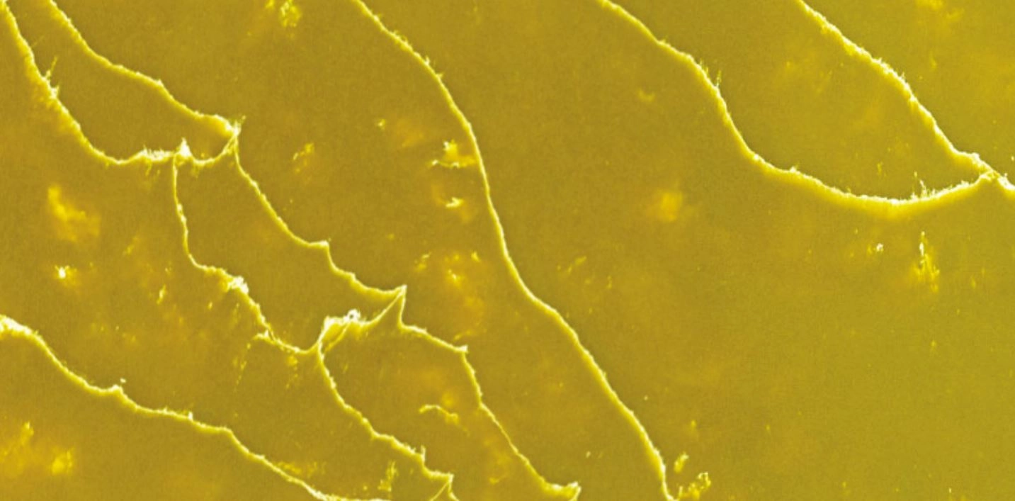Onyx-Golden-Apiary Quatz Stone